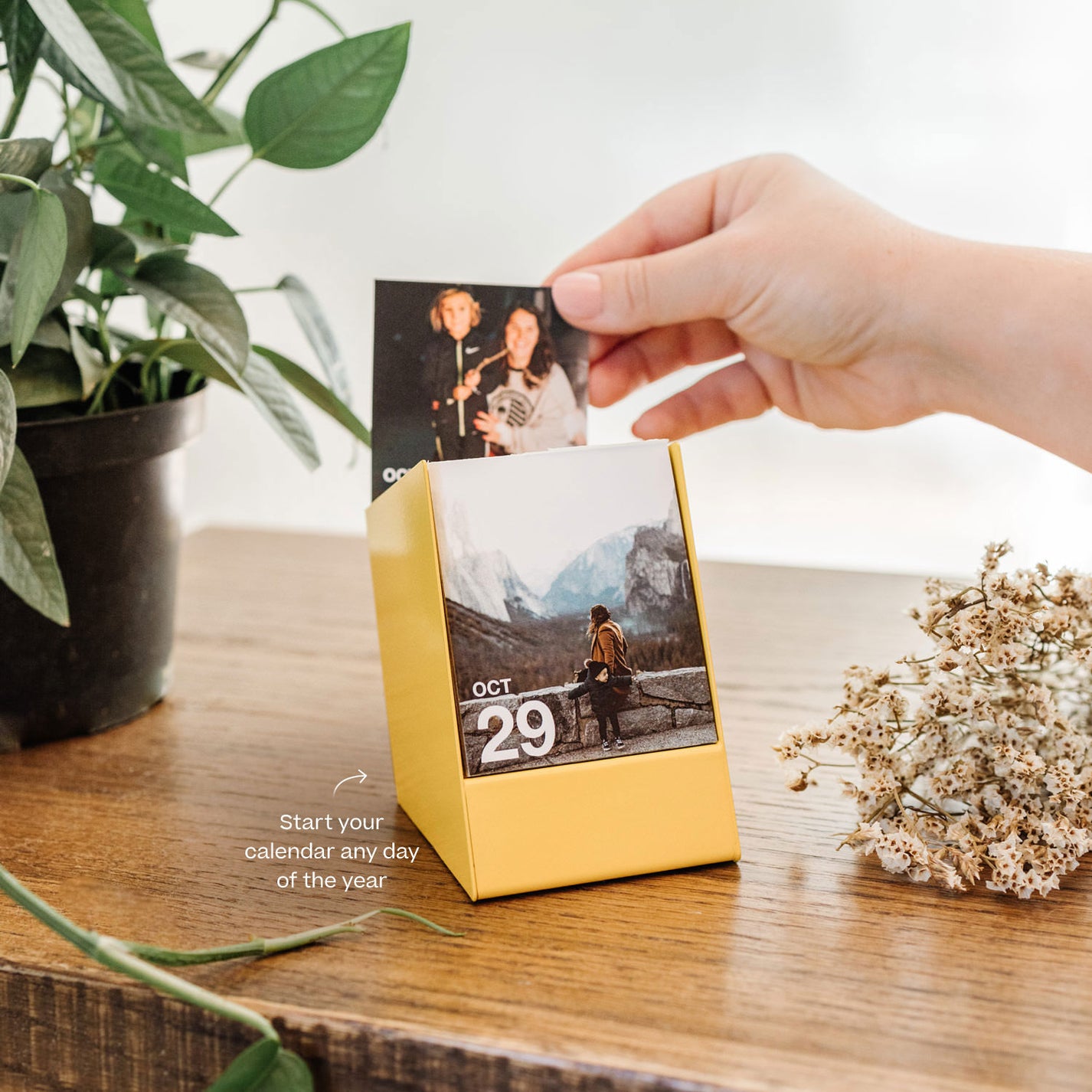 Daily Calendar | Custom Photo-A-Day Calendar with 365 Photos | Social ...