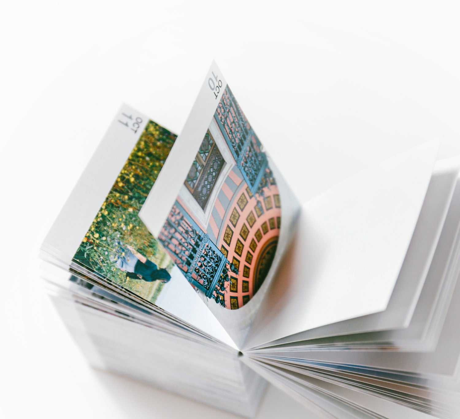 Daily Calendar | Custom Photo-A-Day Calendar with 365 Photos | Social ...