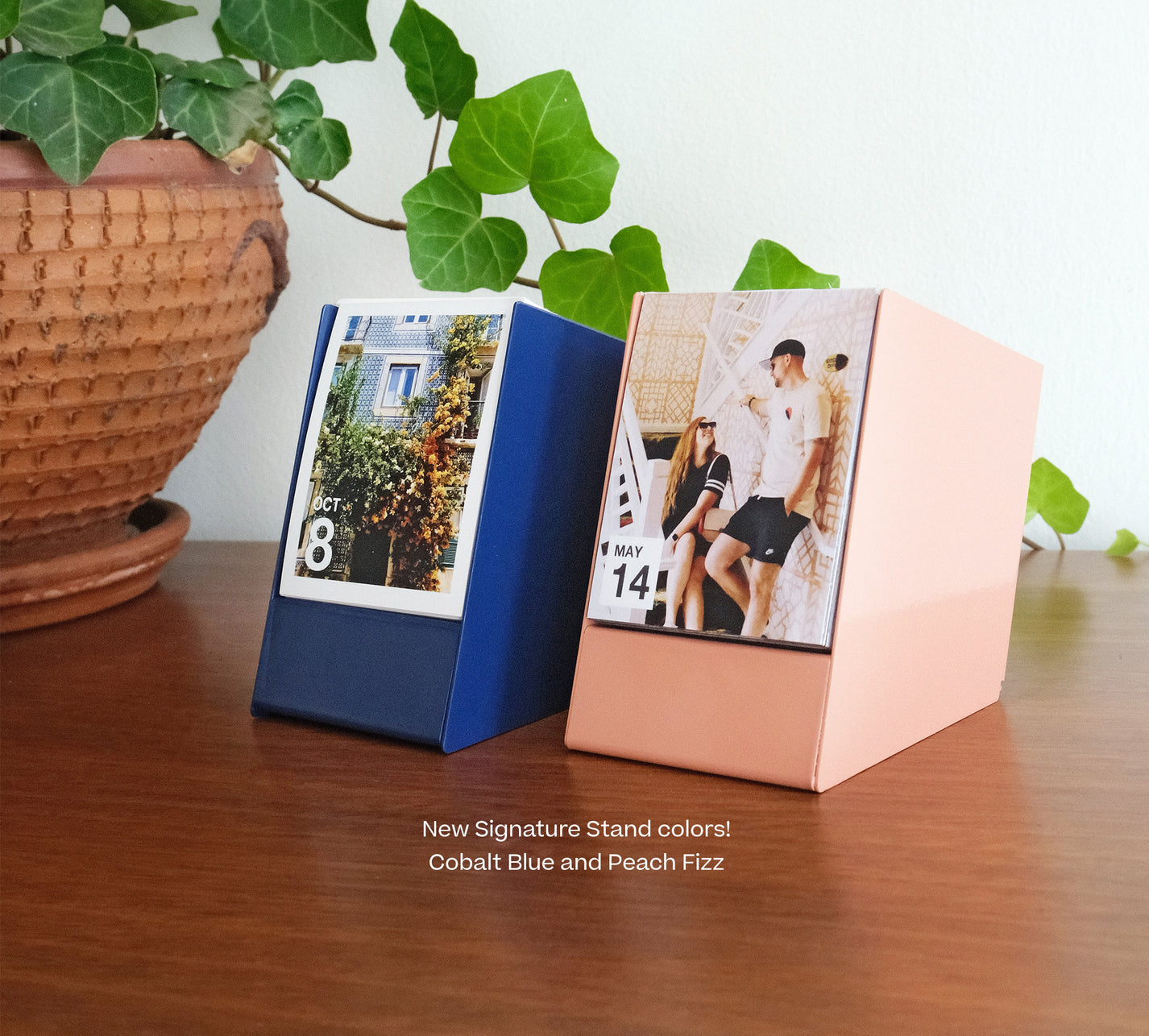 Daily Calendar | Custom Photo-A-Day Calendar with 365 Photos | Social ...