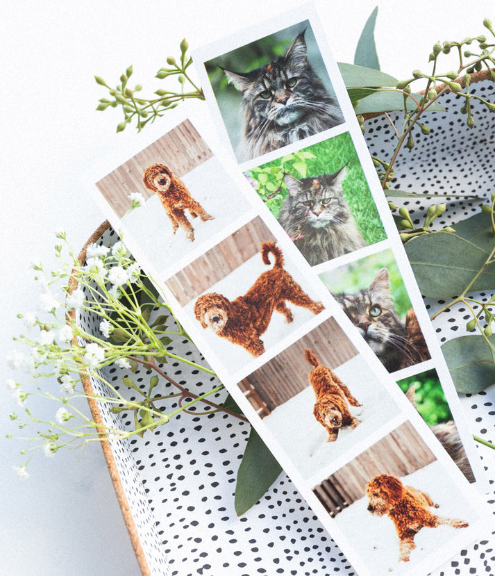 Photo Strips | Retro Photo Booth Style Strips | Social Print Studio