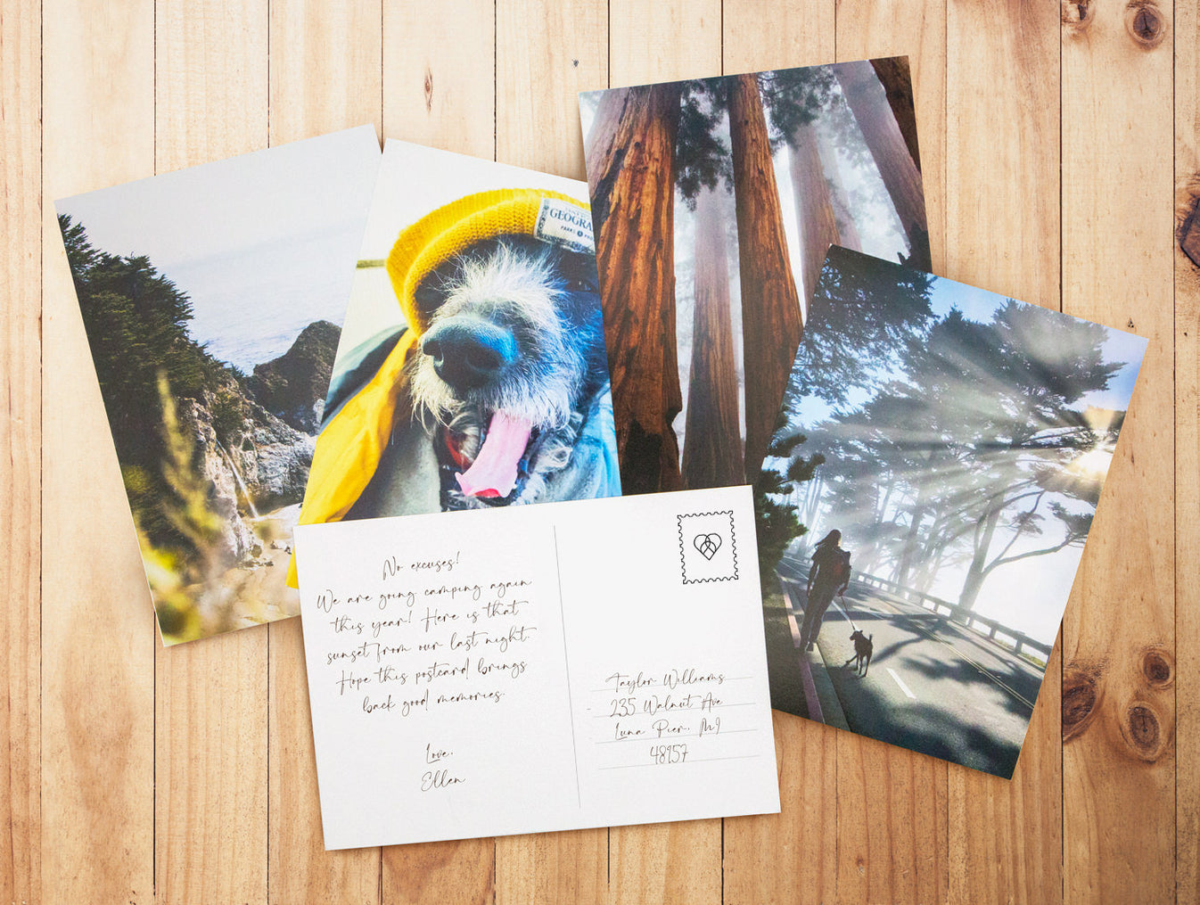 Photo Postcards | Custom Photograph Mail | Social Print Studio