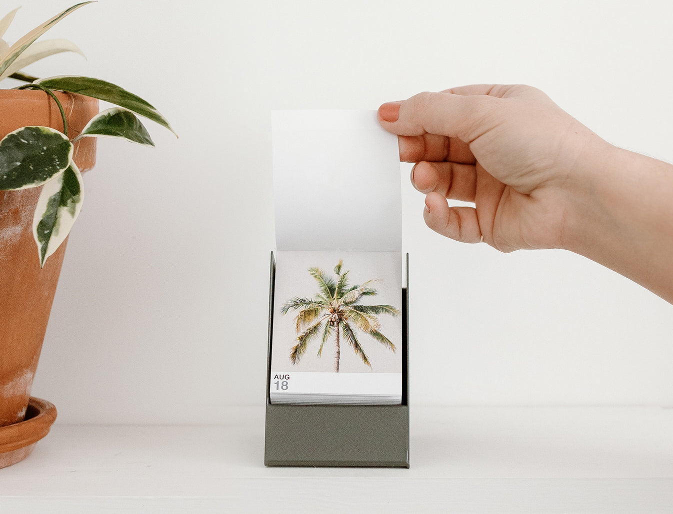 Signature Stand | Desktop Photo Display | Social Print Studio