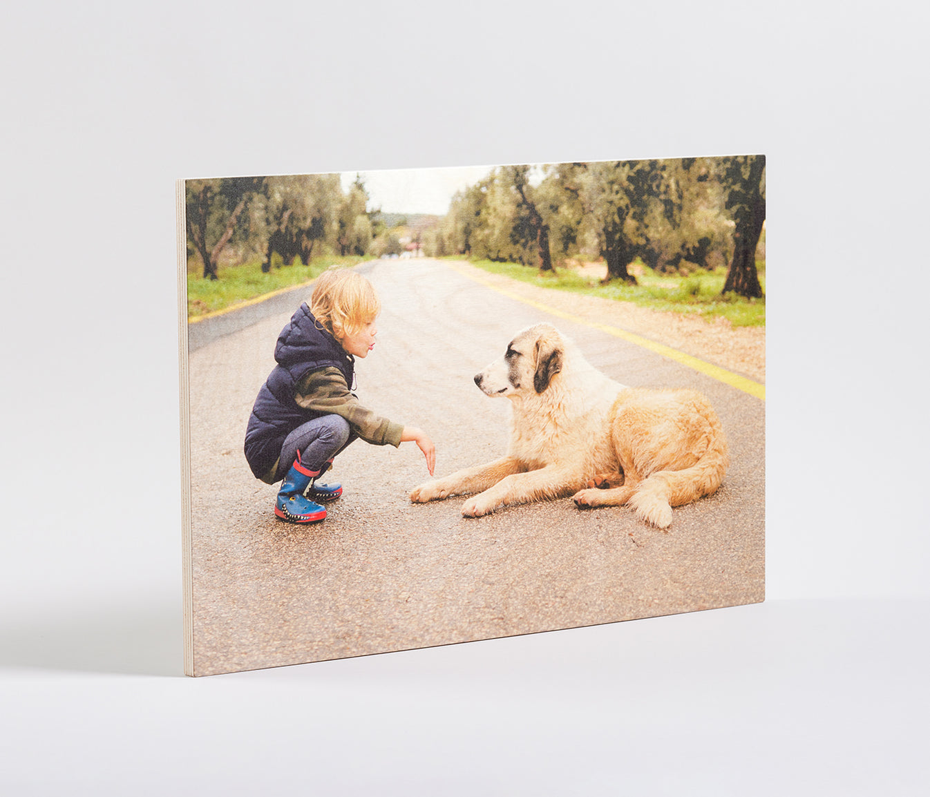Wood Prints | Photos Printed on Wood | Social Print Studio